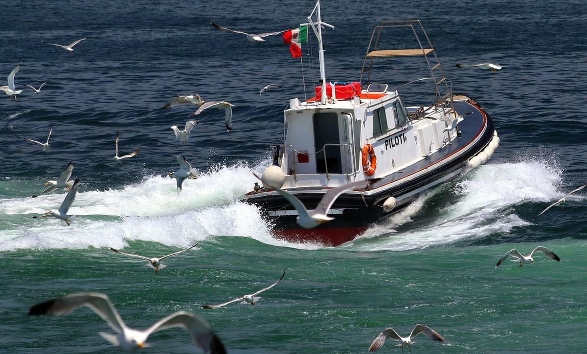 Guide to Pilot Boats - Design and Functionality | Mavyn