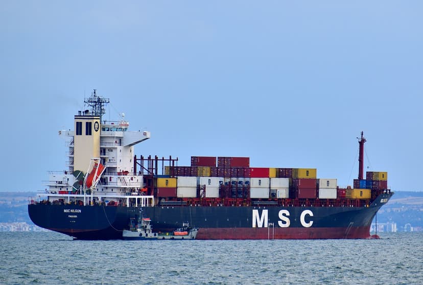 Guide to Cargo Ships - Types and Functions | Mavyn