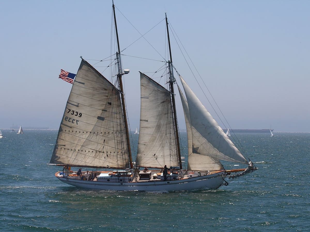 The Fascinating History of Schooner Ships | Mavyn