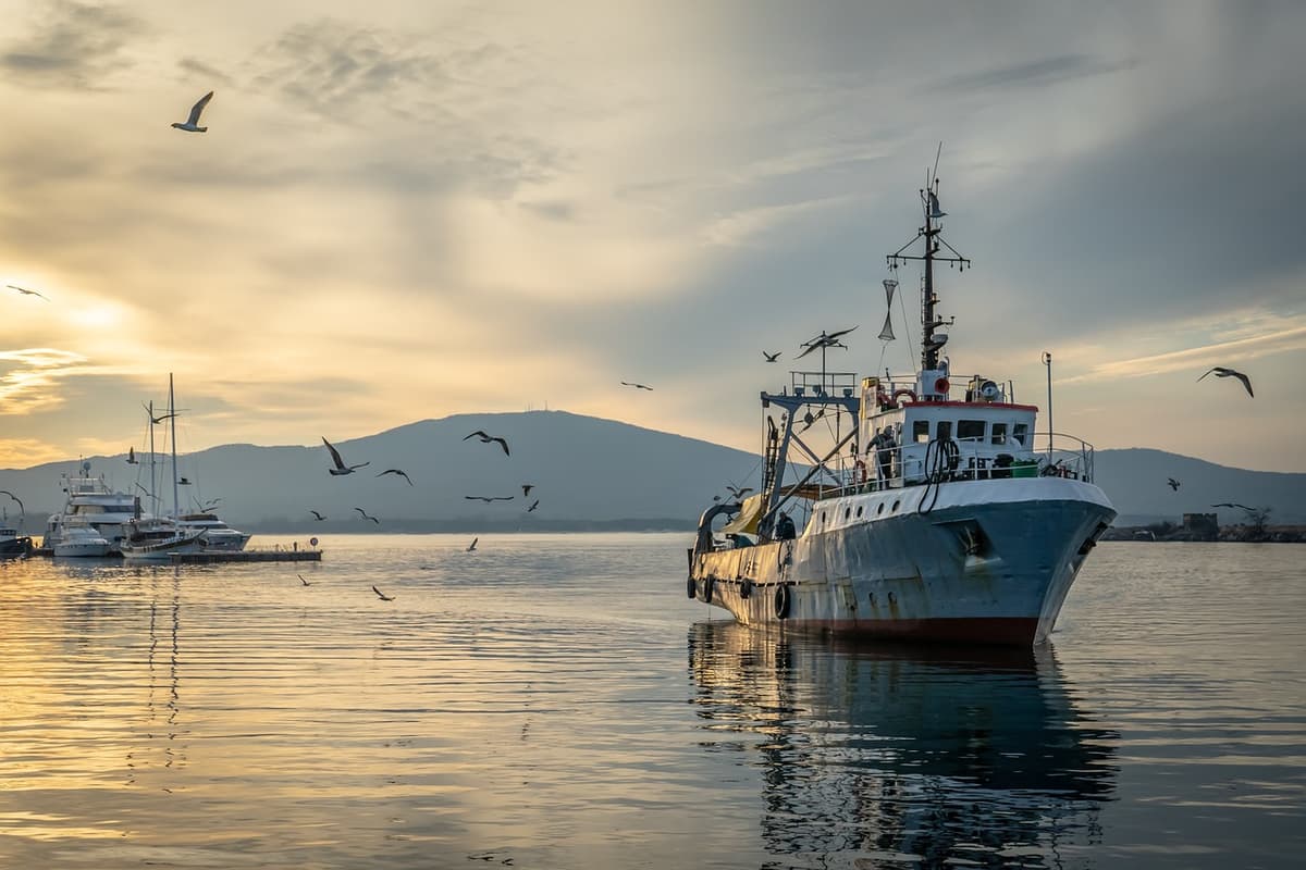 Types of Commercial Fishing Vessels Explained | Mavyn