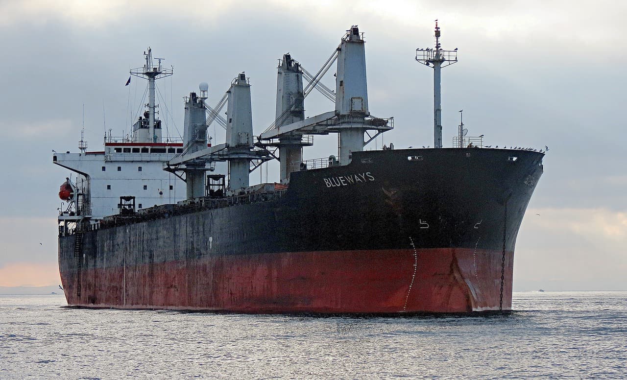Essential Guide to Livestock Carriers | Mavyn